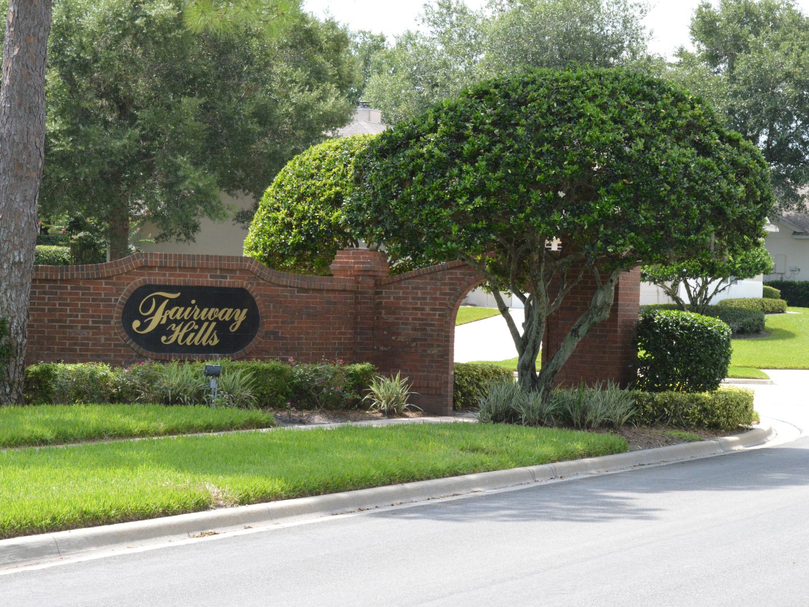 Our Neighborhoods – Timacuan Association